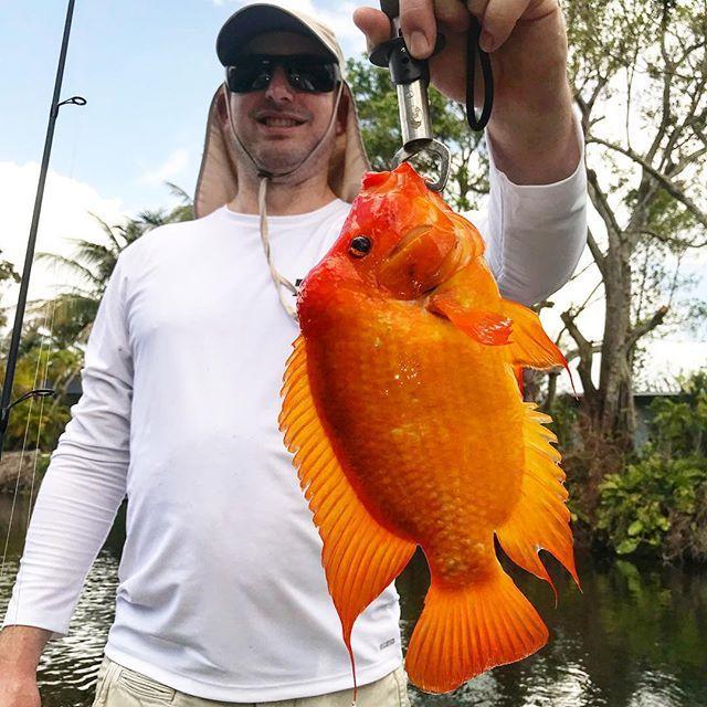 Urban Legends Fishing Charters - 10 Best Miami Fishing Charters